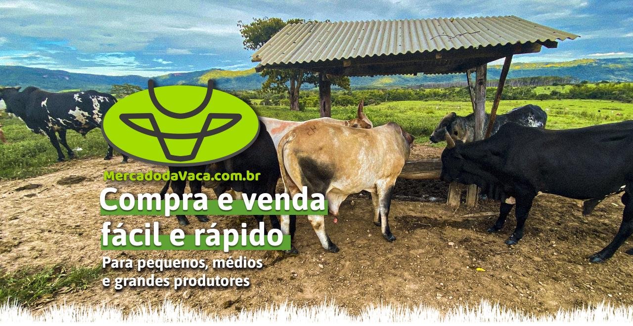 Mercado da Vaca e Agro Evolution Drone destacarão avanços tecnológicos ...